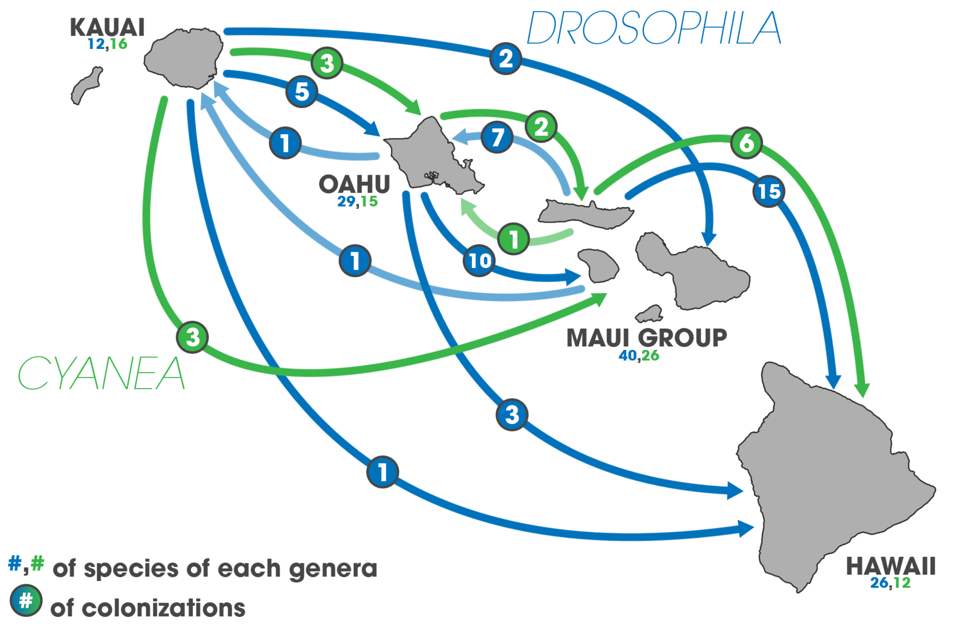 周辺域における種形成：Peripatric speciation