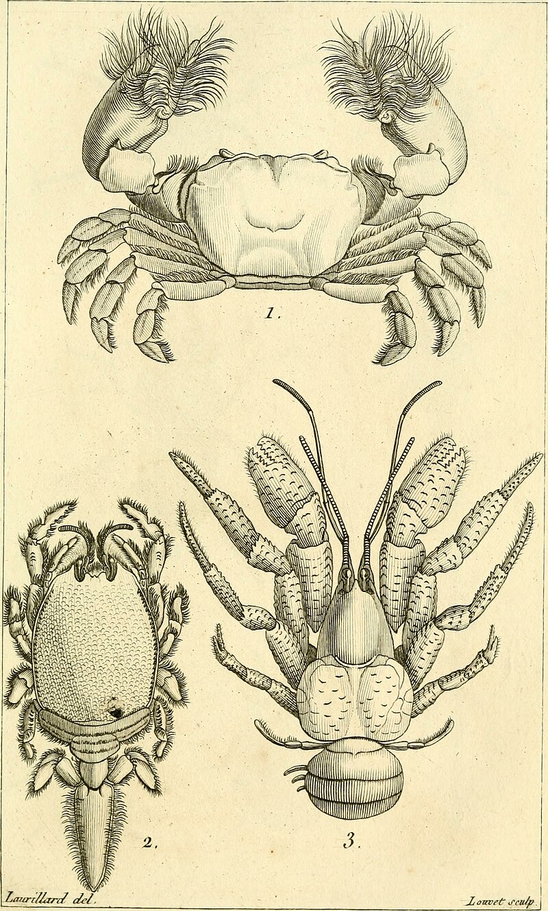ジョルジュ・キュヴィエ:Georges Cuvier, 1769-1832