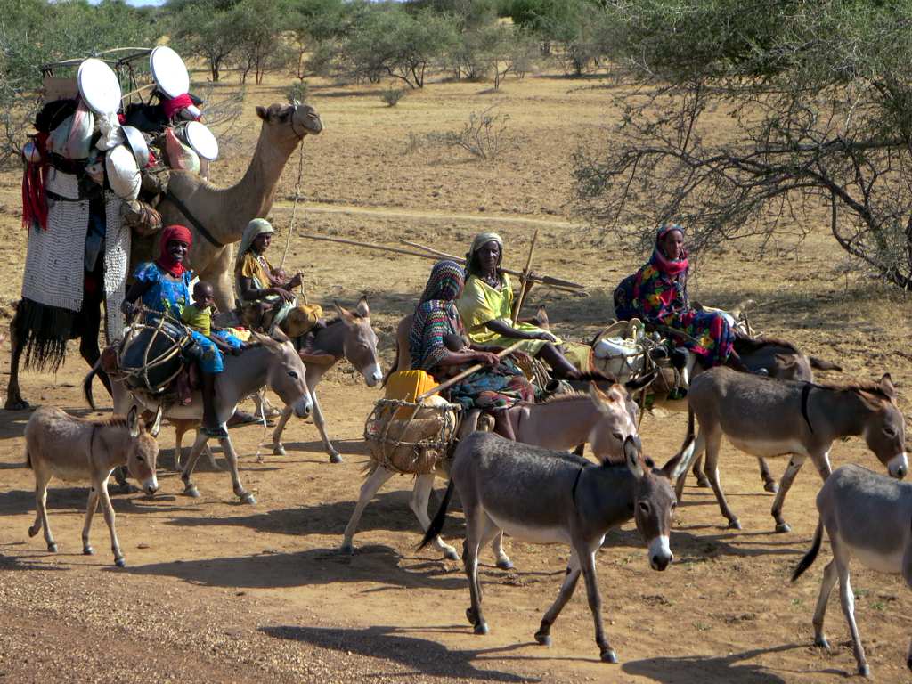 ノマド、あるいは遊動民：Nomad